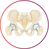 TriPReP® Tubex® BMC | Tricell Bio